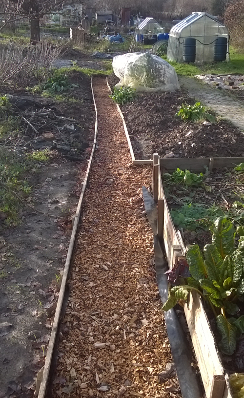 Transition Horsham - Community Allotment